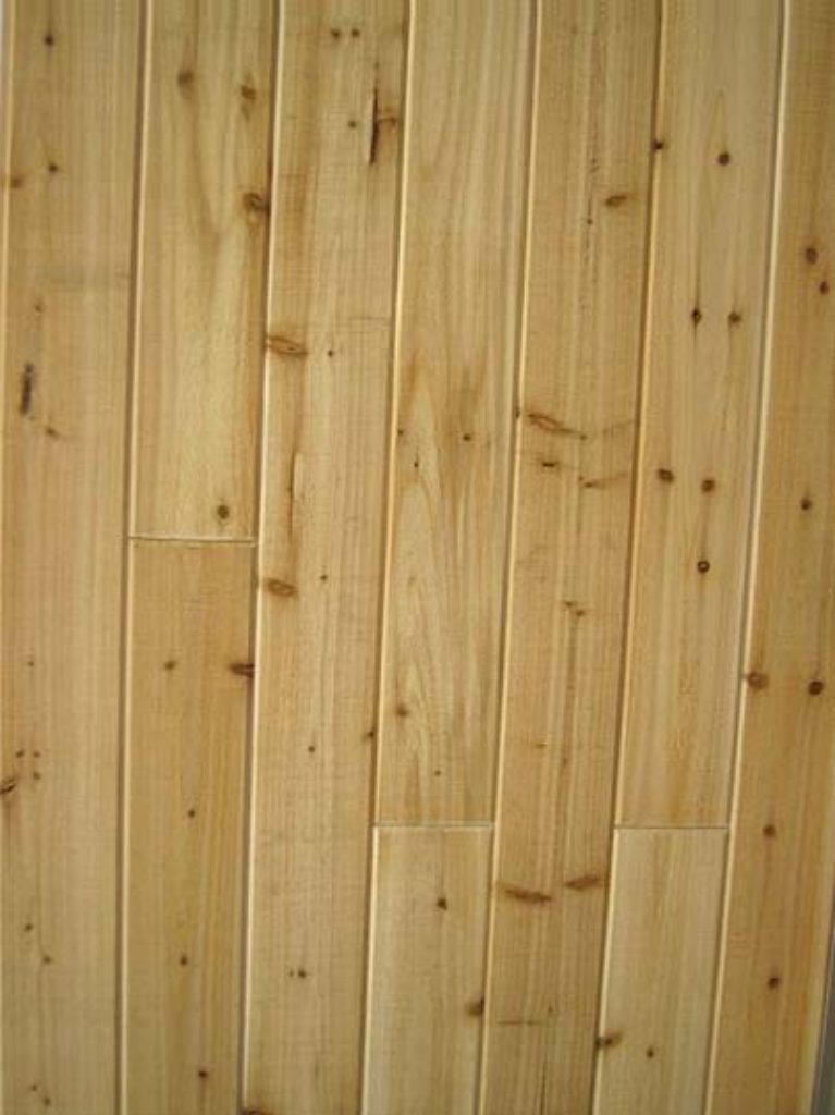 Differences Between Inland and Coastal Cedar