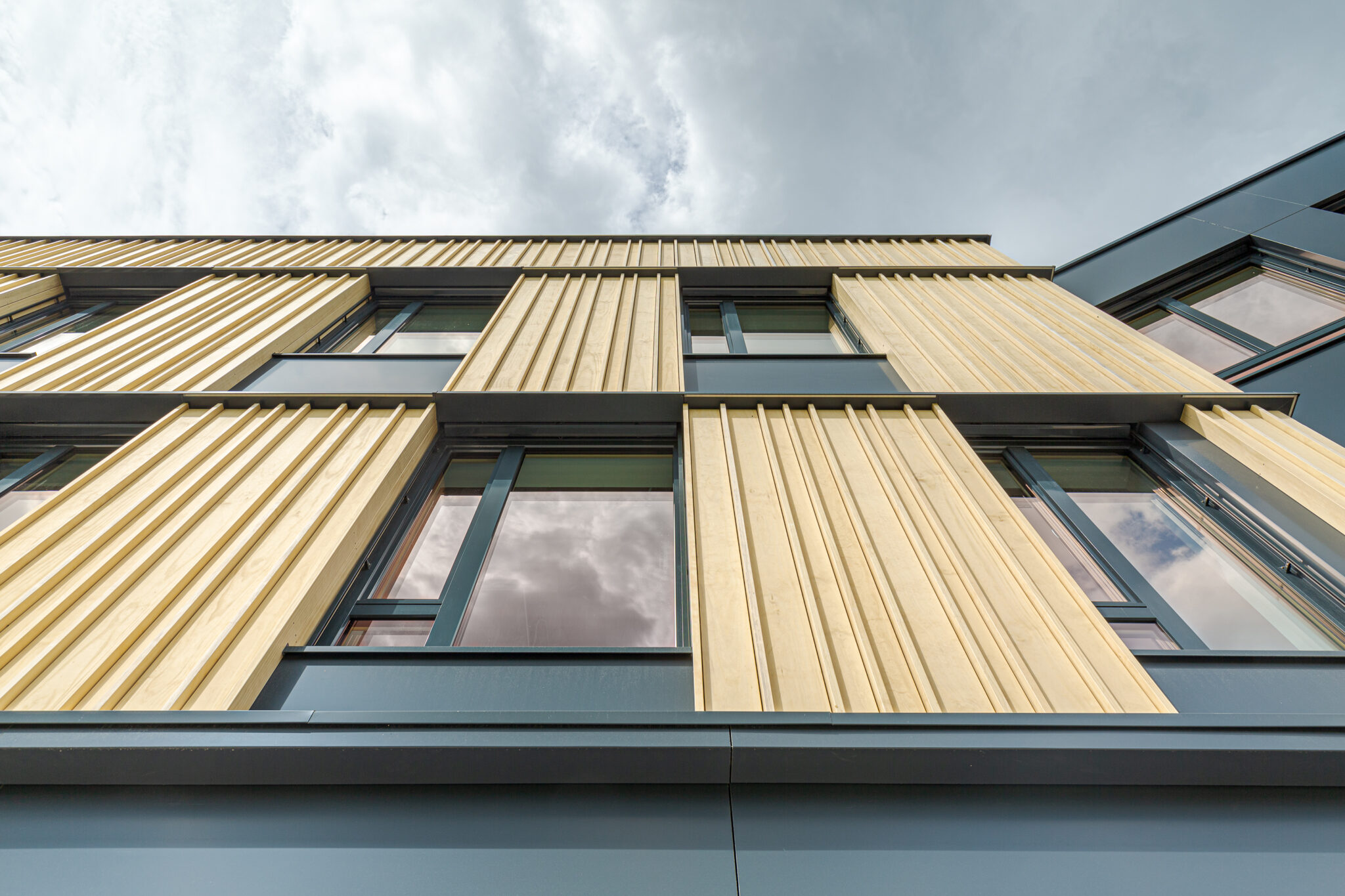 Accoya Wood - Acetylated Wood for Stability, Rot/Water Resistance